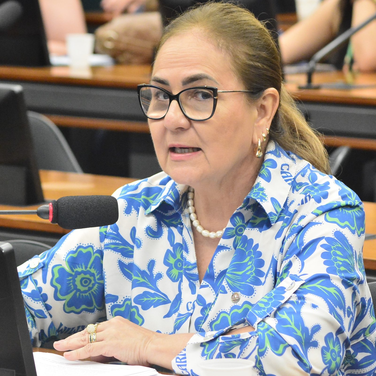 Projeto de Professora Goreth cria Marco Legal da Educação Escolar ...